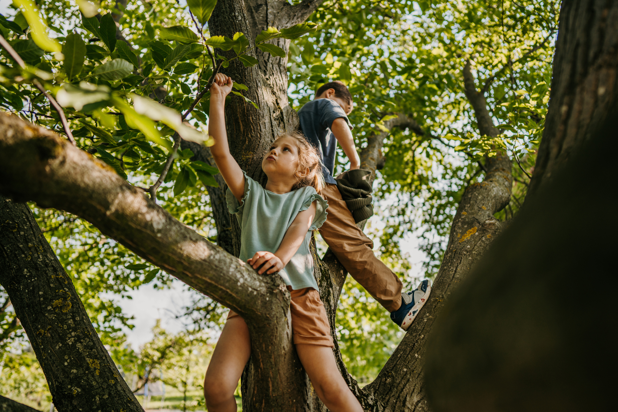 Clover Wood | Discover Clover Wood | A Boutique New Adelaide Hills…