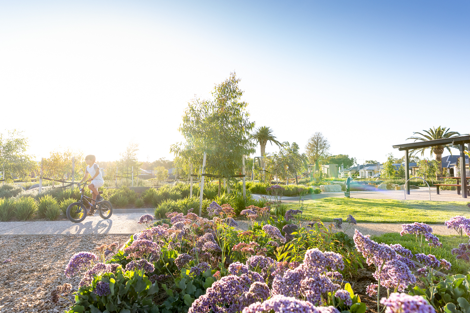 Lanser | Award-Winning South Australian Property Developer |… | Lanser